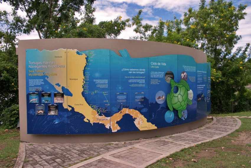 Centro Natural de Punta Culebra | Instituto Smithsonian en Panamá ...