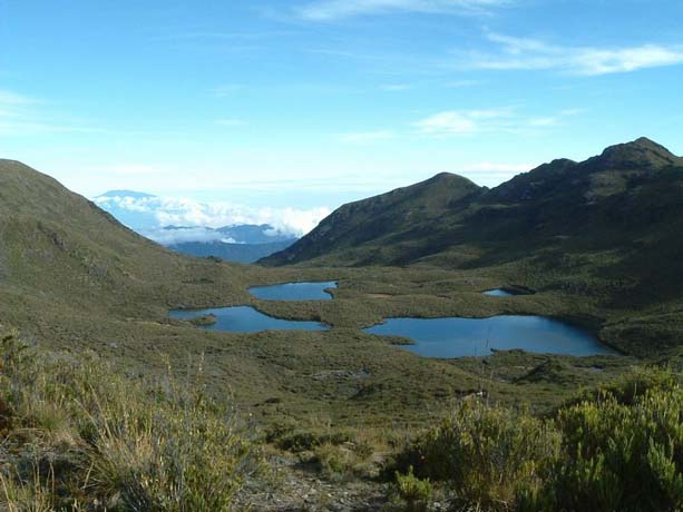 Parque Nacional del Cerro Chirripo - Las Maravillas Naturales de Costa ...
