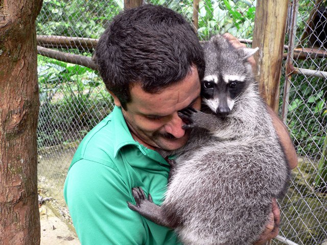 Costa Rica Prohíbe La Caza Deportiva: El Primero En América Latina ...