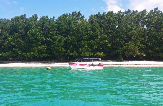 Deep Boarding in Bocas Del Toro | Cool Panama Tours - The Real Deal Tours