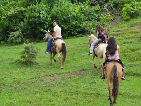 Aguas Termales & Paseo en Caballo en Boquete, Panamá: El Mejor Día de ...