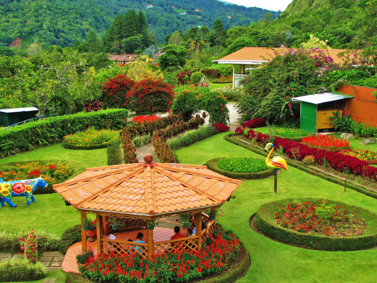 Mi Jardín Es Su Jardín | Mi Elección De Jardines En Boquete