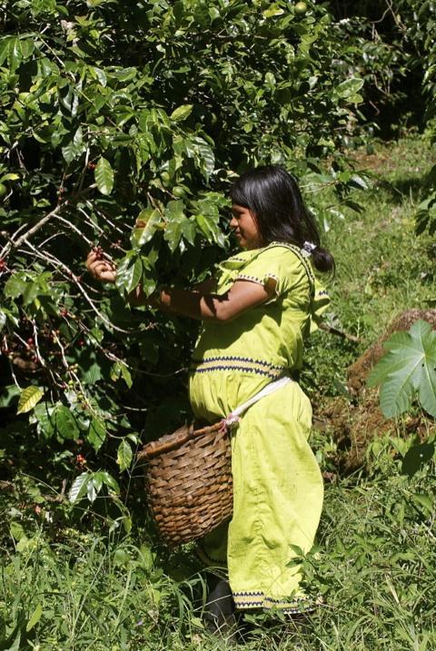Ngabe-Bugle Indigenous People | Sustainable Tourism Panama - The Real ...