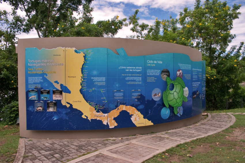Centro Natural de Punta Culebra | Instituto Smithsonian en Panamá - The ...
