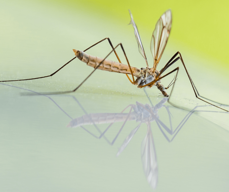 Panama’s San Blas Islands: The Definitive Guide | Real Deal Tours